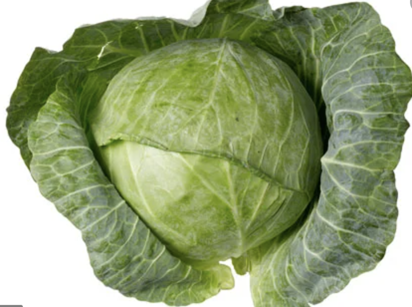 Cabbage, Green – Bard Farm Store