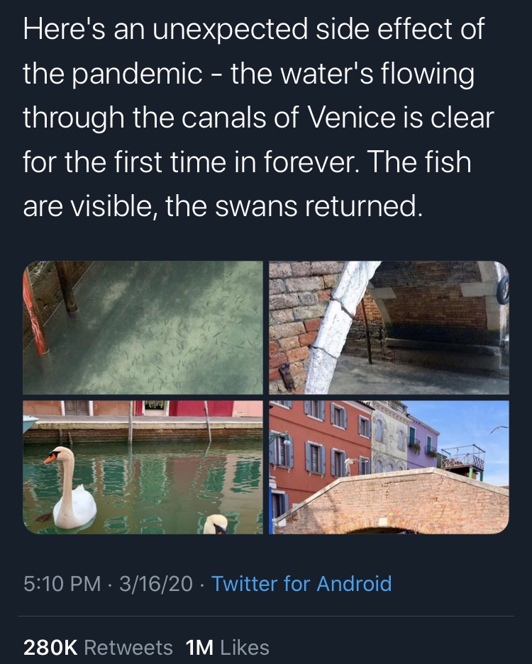 Misguided Misanthropy: Why the “Humans are the Virus” Mindset is ...